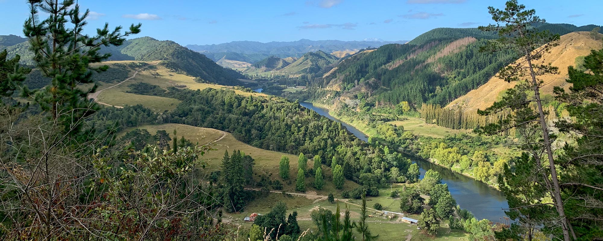 The Peace Through Unity Charitable Trust – Learn More About This Trust